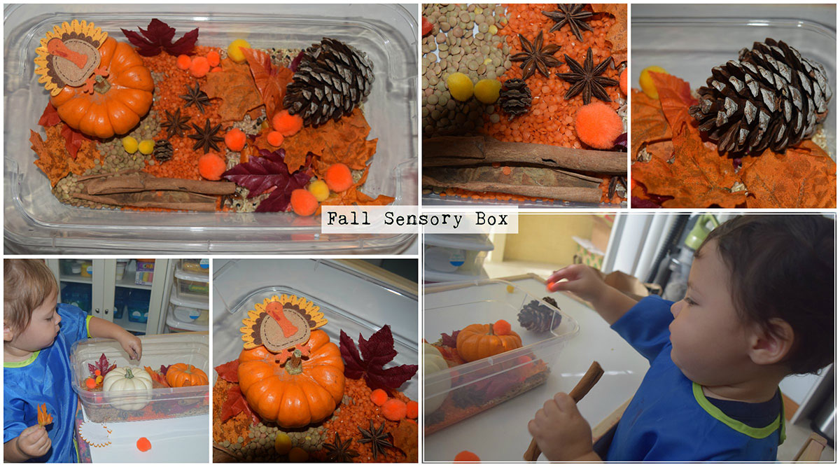 Fall/Autumn Sensory Box - Serious Mumma Business